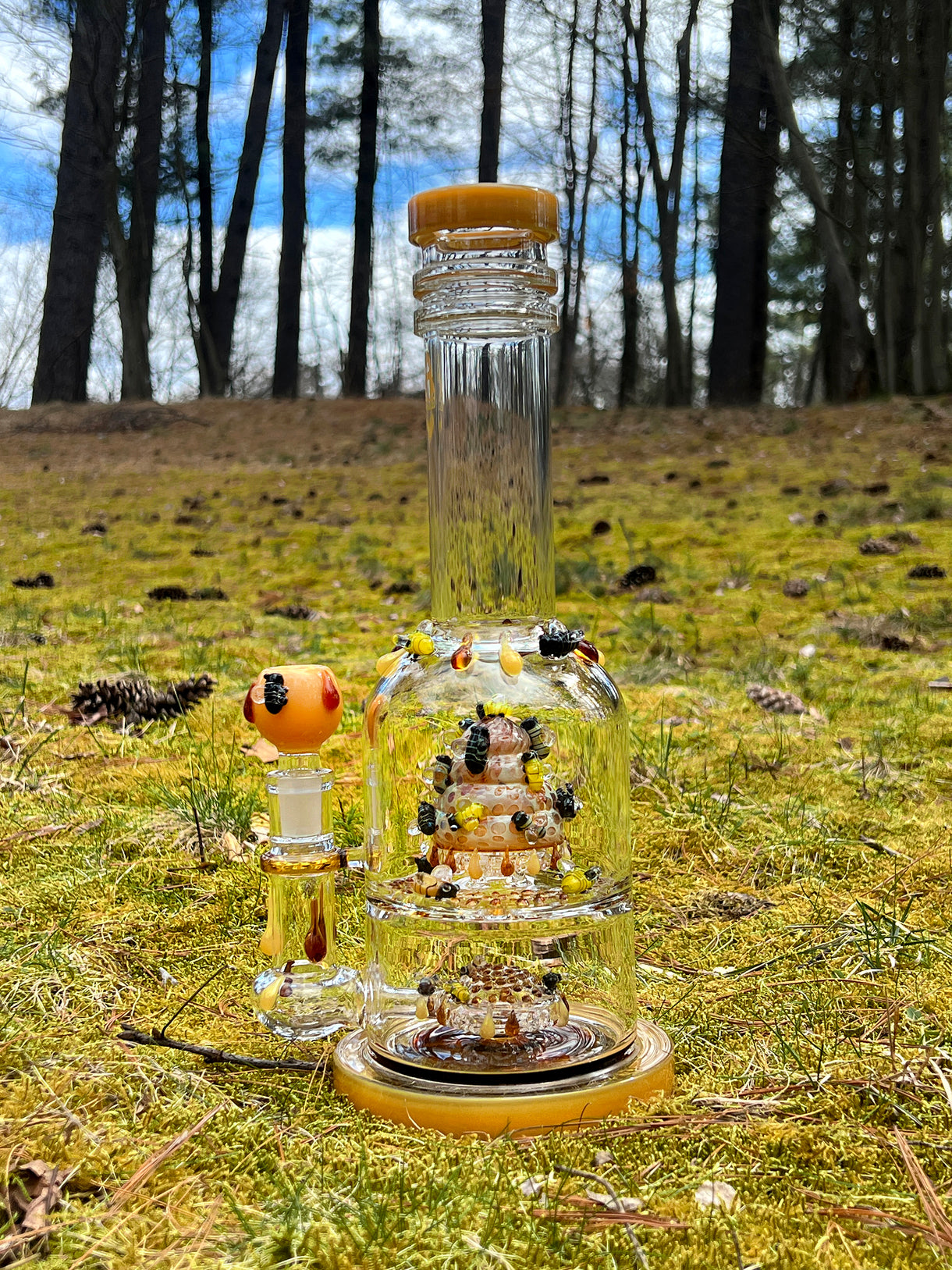 14" 19mm Honey Bee Bubbler ZF400-HB – Apollo Glassworks